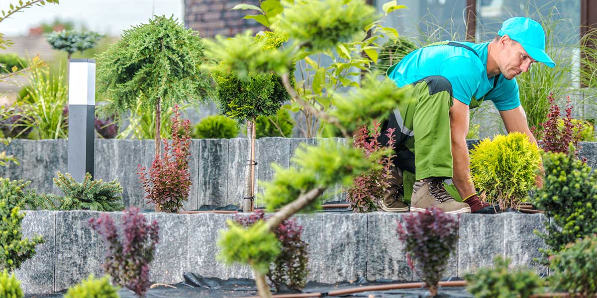 Landscaping Services in Woodside, CA | Zazueta Landscape
